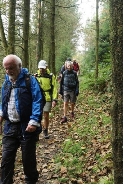 1Z7A0432 | Smelly Helly Gallery